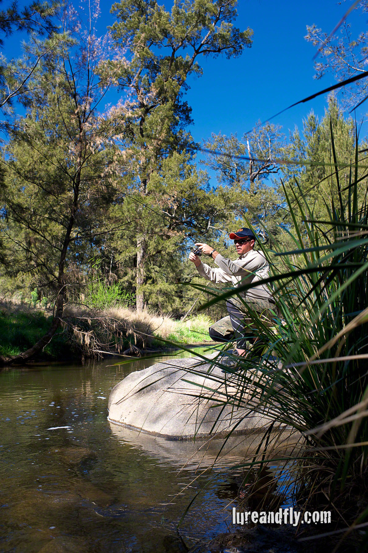 open season | gregseeto.com